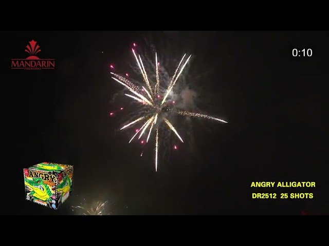 Brocade Crown 25 Shots Cake Fireworks 500g 30*36*225mm