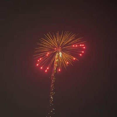 Professional Fireworks Display factory, Buy good quality Professional ...