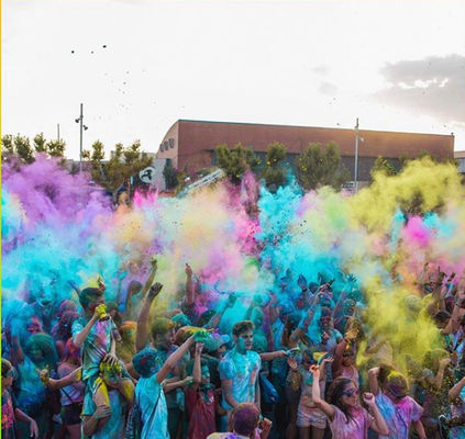 Firework Sparkler factory, Buy good price Colorful Smoke Bomb products