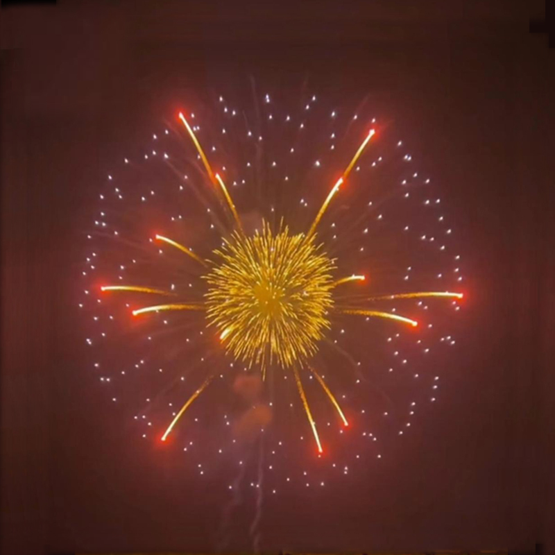 1.3g UN0335 Professional Fireworks for Events